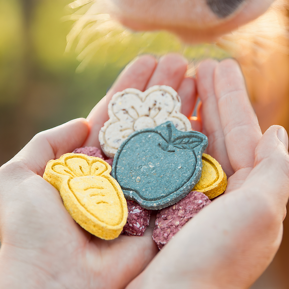 Mix Bites - HorseFlex